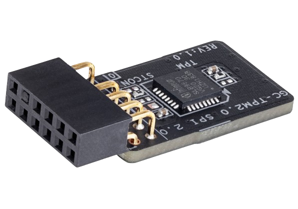 GIGABYTE TPM 12-1 (IFX) (2d shipping) – JServices